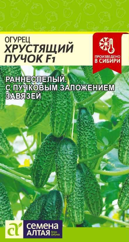 Купить семена Огурец Хрустящий пучок F1 (семена Алтая) 6шт — доставка ...