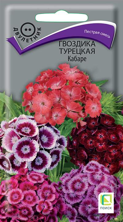 Купить семена Гвоздика турецкая Кабаре смесь (поиск) 0,3гр — доставка ...