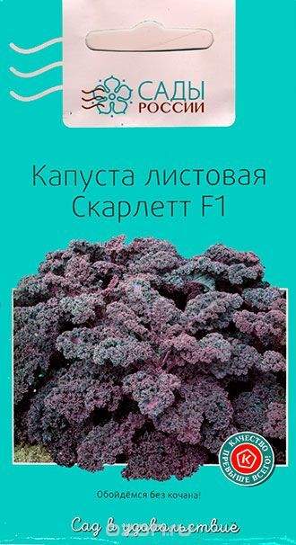 Купить семена Капуста листовая Скарлетт F1 (ср) 0.5гр — доставка по ...