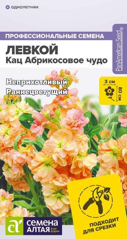 Купить семена Левкой Кац абрикосовое чудо (семена Алтая) 8шт — доставка ...