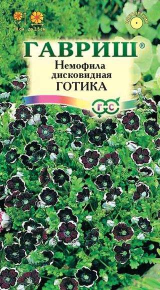 Купить семена Немофила Готика (г) 0,2гр — доставка по России, магазин ...